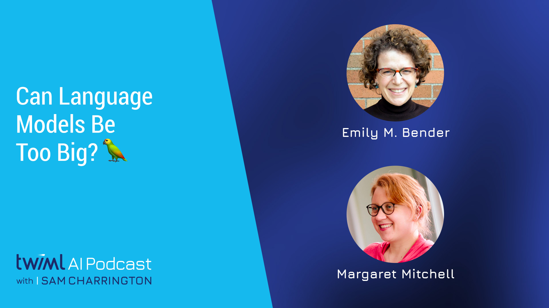 Can Language Models Be Too Big? | TWIML - The Voice of Machine Learning ...