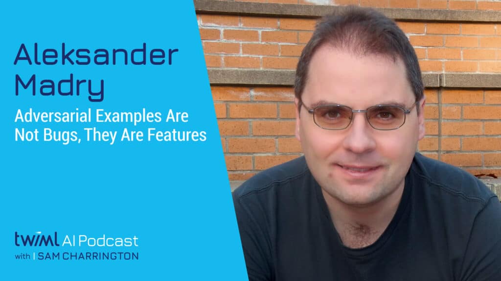 Adversarial Examples Are Not Bugs, They Are Features with Aleksandar ...